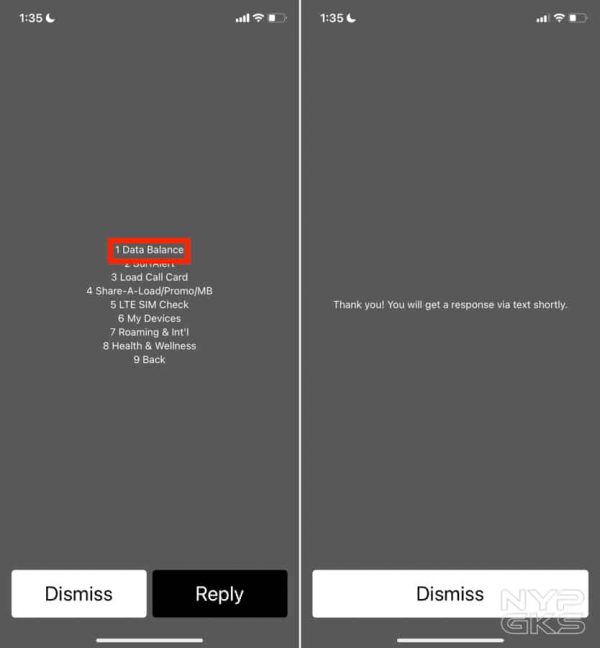 How to check Globe load and data balance | NoypiGeeks